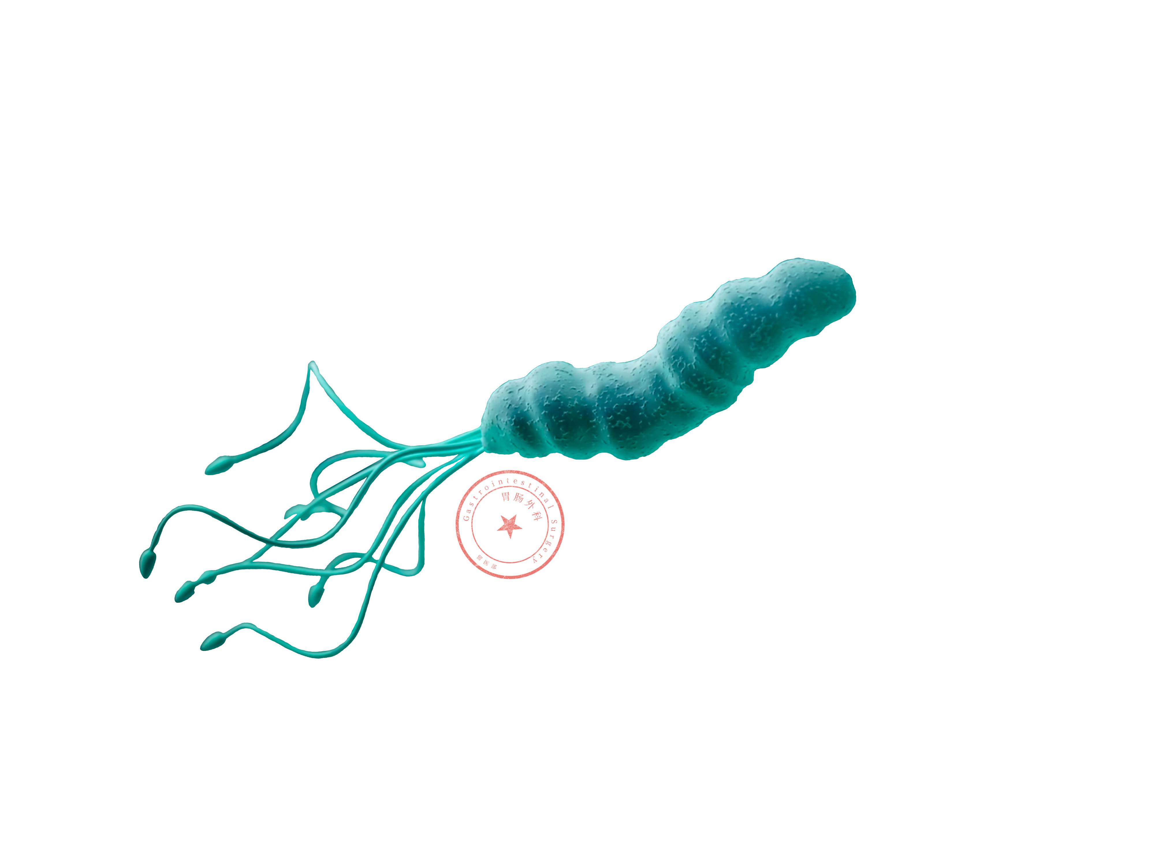 快速尿素酶试验(RUT)检测H.pylori - 健康160